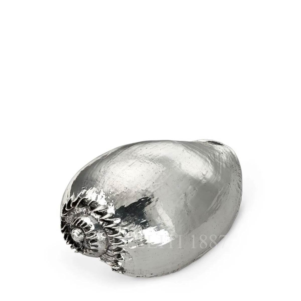 Buccellati Sea Bailer Shell - SCOPELLITI 1887